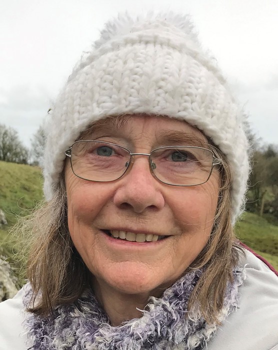 Lesley Howse Gallery :: Stafford-Art-Group